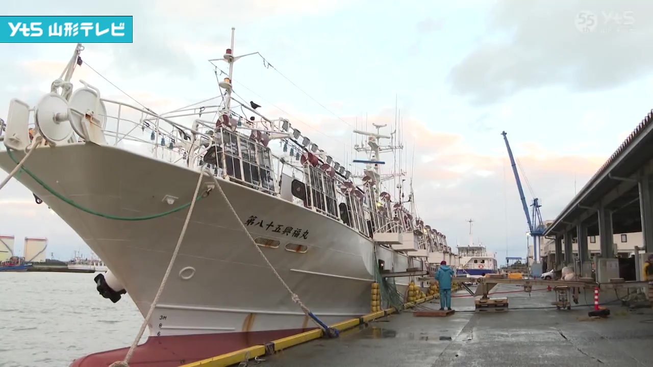 中型イカ釣り船が酒田港に スルメイカの水揚げ | YTS山形テレビ